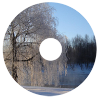 PR188_p - Physipro inc.